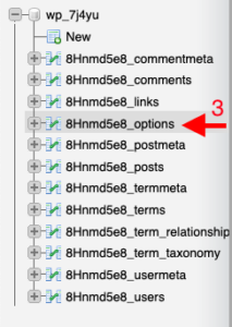 วิธีการเปลี่ยน WordPress Site URL ผ่าน phpMyAdmin - Bangmod Knowledge Base